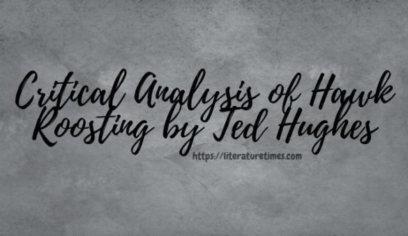 Critical Analysis Of “Hawk Roosting” By Ted Hughes - Literature Times